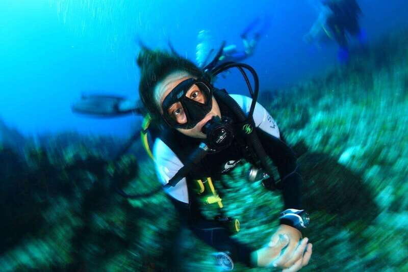 Cancun: Barracuda Dive Expedition - What Does It All Mean for You?
