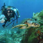 Cancun: Beginner Scuba Diving at Underwater Museum - What to Expect From the Tour