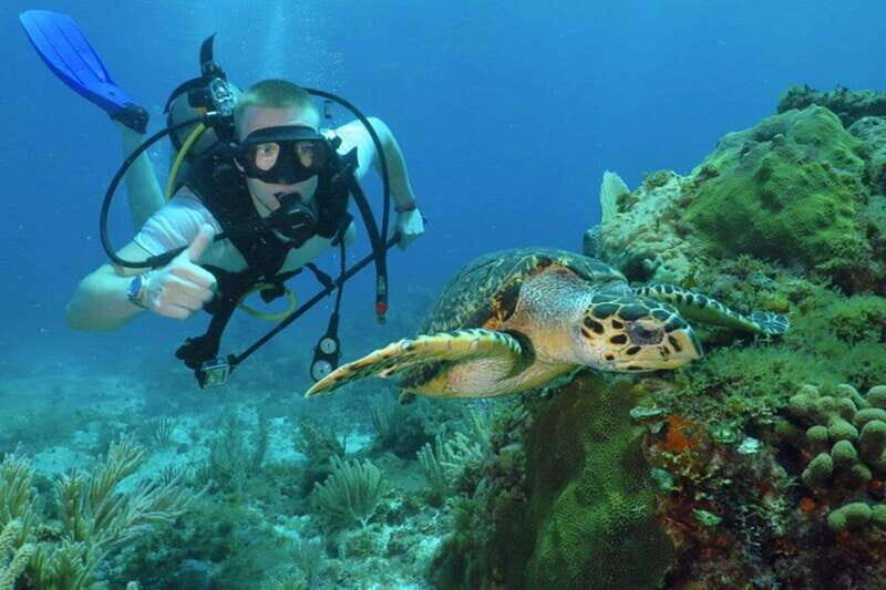 Cancun: Beginner Scuba Diving at Underwater Museum - What to Expect From the Tour