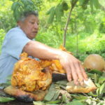 Cancun: Chichen Itza & Yaxunah Ruins Private Tour & Cenote - What the Reviews Reveal