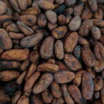 Cancún: Chocolate Making Class and Tasting with Chef - Who Will Love This Tour?