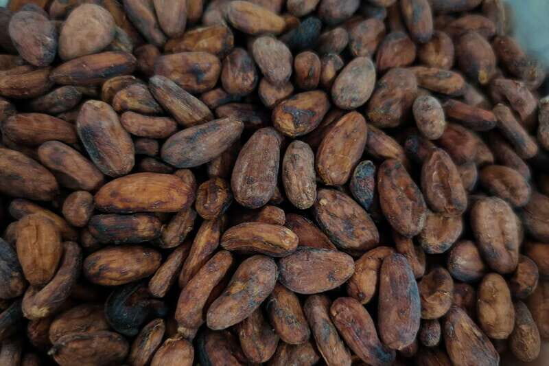 Cancún: Chocolate Making Class and Tasting with Chef - Who Will Love This Tour?