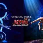 Cancún: Cirque du Soleil JOYÀ Entry Ticket and Transfer - Logistics and Practical Details