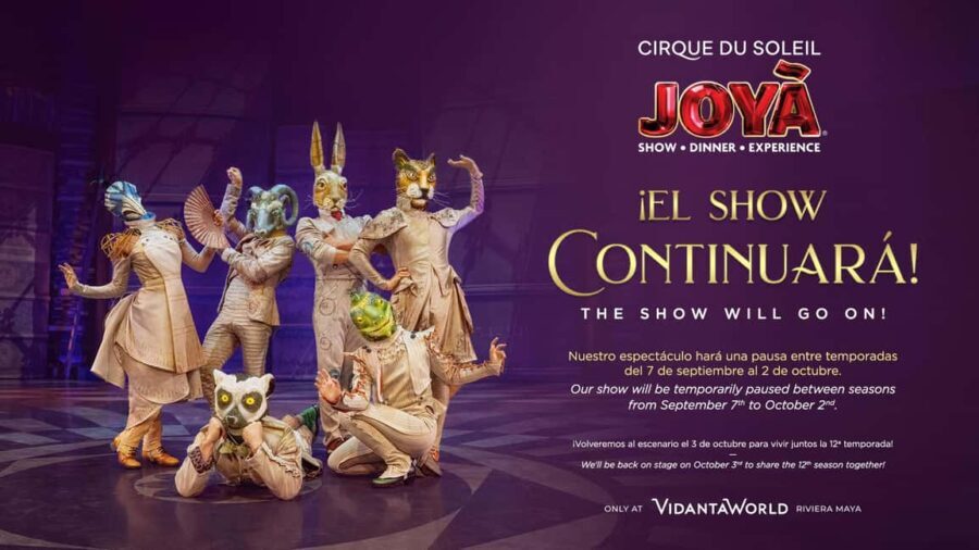 Canc n Cirque Du Soleil JOY Show Ticket