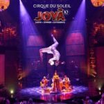 Cancún: Cirque du Soleil JOYÀ Ticket - Deep Dive: The Experience Itself