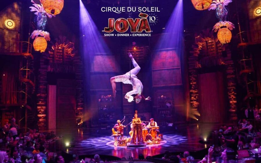 Cancún: Cirque du Soleil JOYÀ Ticket - Deep Dive: The Experience Itself