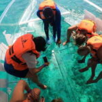 Cancún: Clear Boat Ride with drinks - Who Is This Tour Best For?