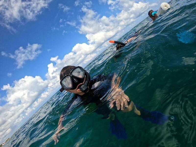 Cancún: Cozumel 2-Tank Diving Tour with Lunch & Transfers - What’s Included and Why It Matters