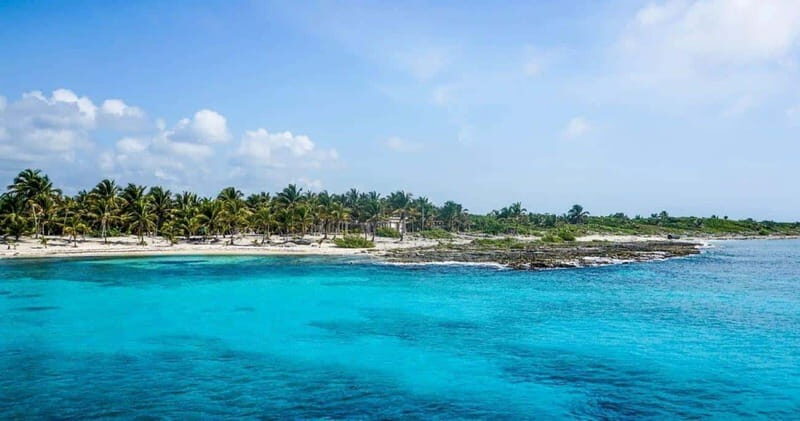 Cancun: Cozumel Diving for Beginners - What Makes This Tour Stand Out?