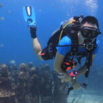 Cancun: Dive Underwater Museum & Manchones Reef - Why choose this tour?