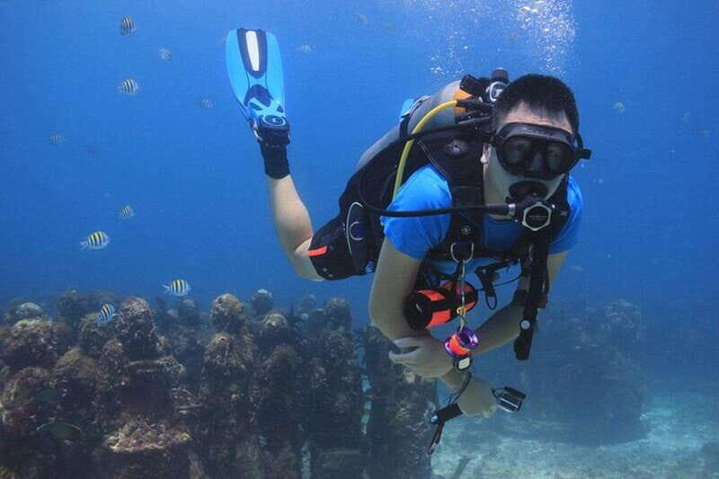 Cancun: Dive Underwater Museum & Manchones Reef - Why choose this tour?