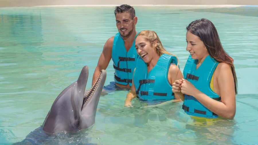 CANCUN: Dolphin Swim Adventure with buffet and soft drinks - A Practical Look at the Dolphin Swim Experience in Cancun