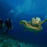 CANCUN: FIRST TIME DIVERS CANCUN - The Underwater Museum (MUSA): Art Meets Ocean