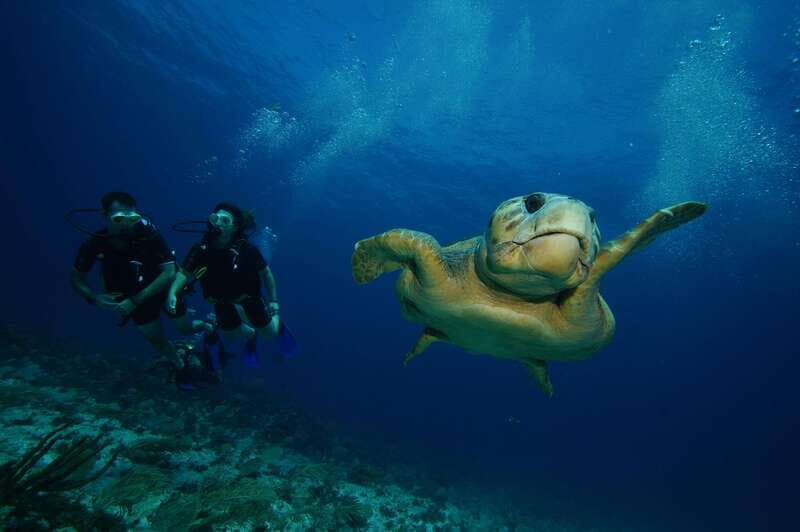 CANCUN: FIRST TIME DIVERS CANCUN - The Underwater Museum (MUSA): Art Meets Ocean