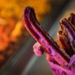 Cancun: Flavors of Mexico, Taco and Beer Tasting Tour - The Cultural Flavor
