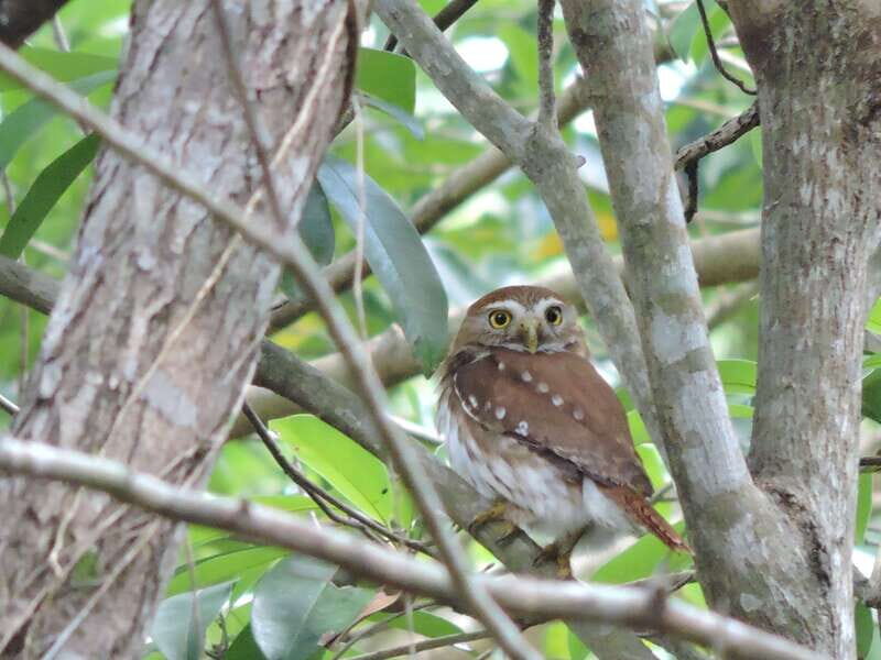 Cancún: Guided Birdwatching Hike - The Itinerary in Detail