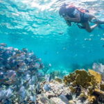 Cancun: Half Day Private Catamaran to Isla Mujeres - Value and Pricing