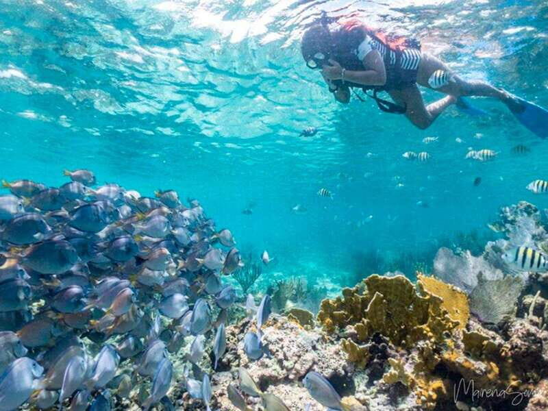 Cancun: Half Day Private Catamaran to Isla Mujeres - Value and Pricing