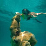 Cancun: Half Day Private Catamaran with Snorkeling. 25 guest - Who Would Love This Tour?
