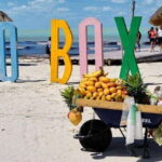 Cancun: Holbox plus Island, Punta Mosquito Trip with Lunch - What Travelers Say and What to Expect
