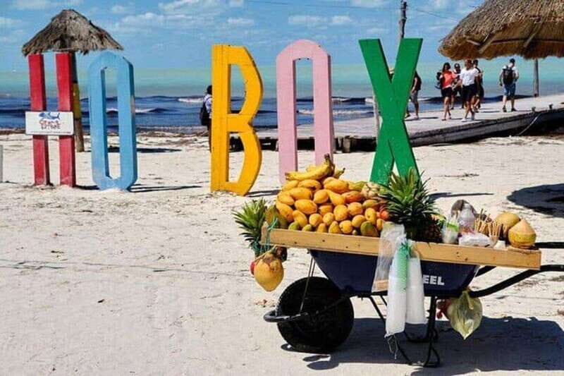 Cancun: Holbox plus Island, Punta Mosquito Trip with Lunch - What Travelers Say and What to Expect