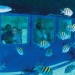 Cancún: Hop-on Hop-off Bus Tour with Submarine Trip - The Sum Up