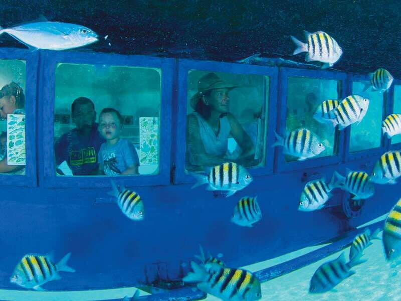 Cancún: Hop-on Hop-off Bus Tour with Submarine Trip - The Sum Up