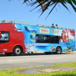 Cancun: Hop-On-Hop-Off Sightseeing Bus Tour - Who Will Love This Tour?