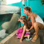 Cancún: Interactive Aquarium Admission - The Realistic Look at the Size and Duration