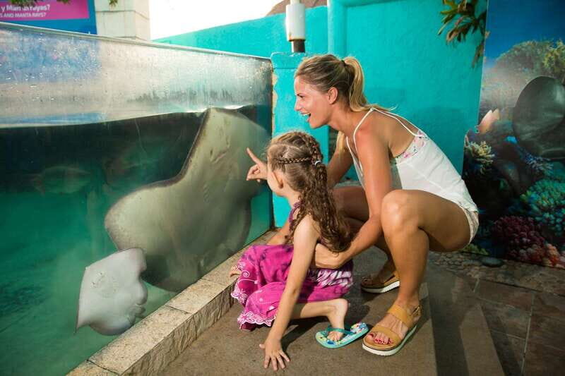 Cancún: Interactive Aquarium Admission - The Realistic Look at the Size and Duration