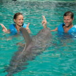 Cancun: Interactive Aquarium - Swim with dolphins Premium - Why This Tour Offers Good Value
