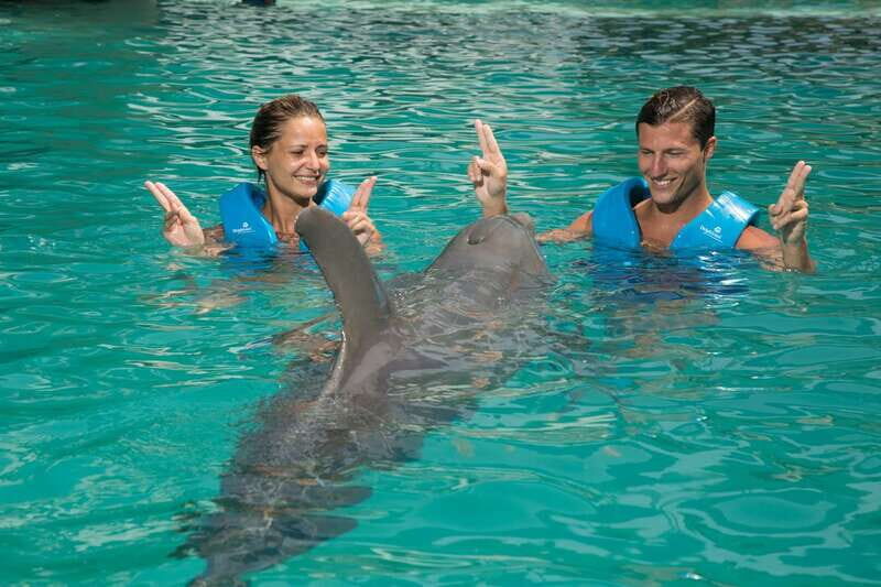 Cancun: Interactive Aquarium - Swim with dolphins Premium - Why This Tour Offers Good Value