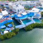 Cancun: Interactive Aquarium - Swim with Dolphins Splash - What’s Included and What’s Not