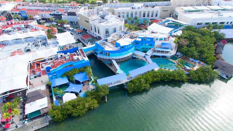 Cancun: Interactive Aquarium - Swim with Dolphins Splash - What’s Included and What’s Not