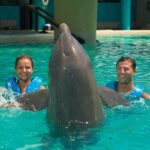 Cancun: Interactive Aquarium Ticket and Swim with Dolphins - Authentic Feedback from Visitors