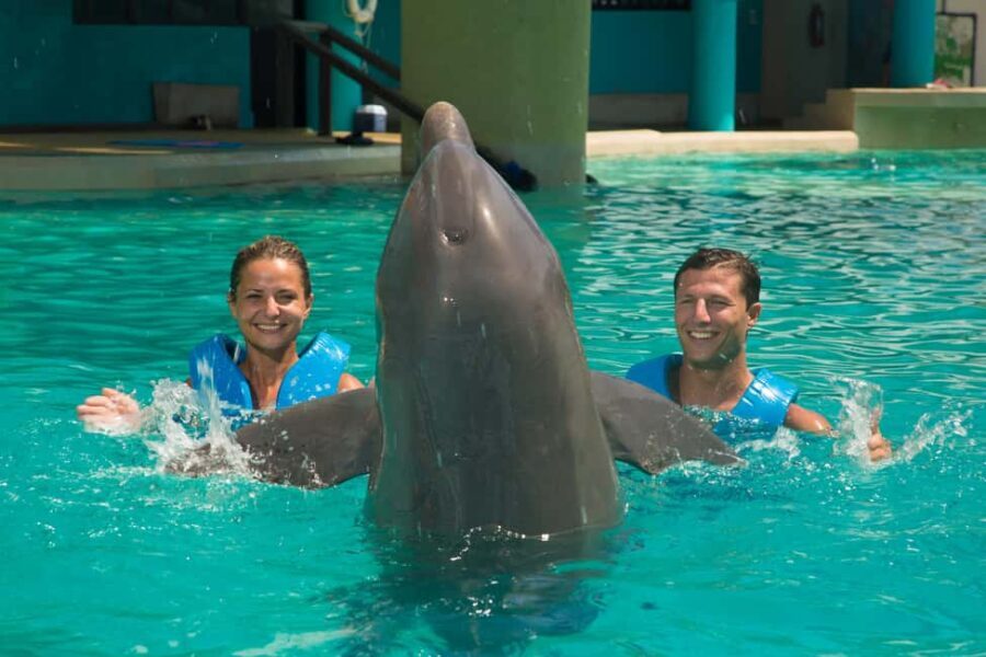 Cancun: Interactive Aquarium Ticket and Swim with Dolphins - Authentic Feedback from Visitors