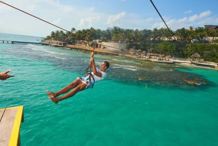 Cancun: Isla Mujeres Royal Garrafon with Transport & Lunch - Arrival and First Impressions at Dolphin Discovery