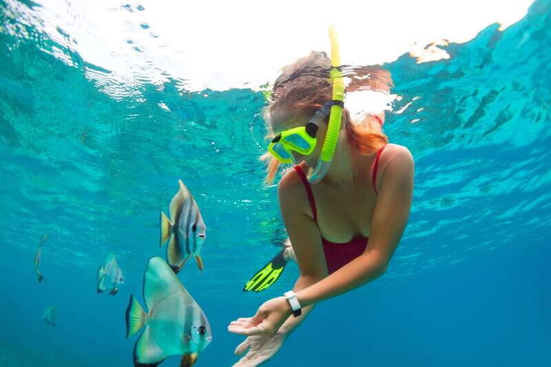 Cancun: Jungle Tour Adventure with Speedboat and Snorkeling - What Makes This Tour Stand Out?