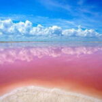 Cancun: Las Coloradas and Río Lagartos Private Tour - Final Thoughts