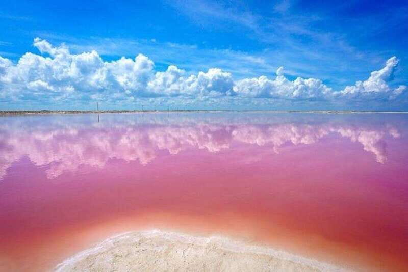 Cancun: Las Coloradas and Río Lagartos Private Tour - Final Thoughts
