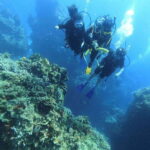 Cancun: Lionfish Expedition Package - The Itinerary: A Day-by-Day Breakdown