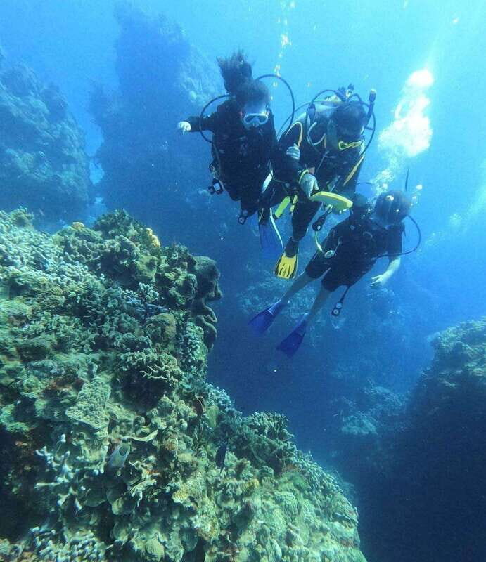 Cancun: Lionfish Expedition Package - The Itinerary: A Day-by-Day Breakdown
