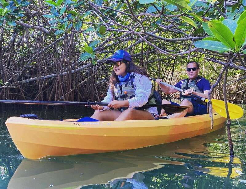 Cancún: Morning or Sunset Kayak Adventure in Nichupte Lagoon - The Itinerary: What You Can Expect
