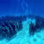 Cancun: MUSA Diving for certified divers morning dive trip - Equipment and Guides