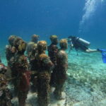 Cancun: Musa Underwater Museum & Reef Discover Scuba Diving - What You Can Expect from the Tour