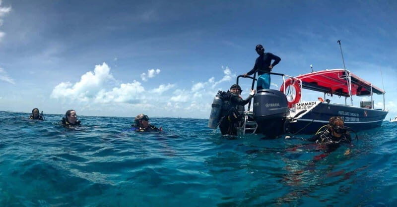 Cancun or Isla Mujeres Reef Diving for Beginners - The Itinerary in Detail