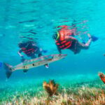 Cancún: Puerto Morelos Reef Snorkeling Tour & Seaside Lunch - How Well Does It Deliver?