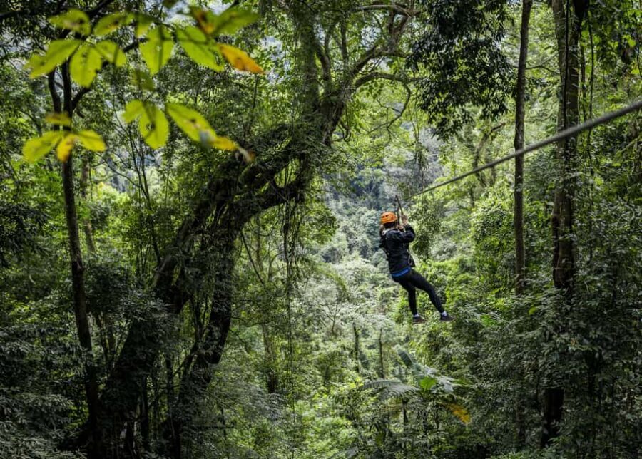 Cancun: Quad biking, zip lines, and swimming in a jungle cenote - Things to Keep in Mind