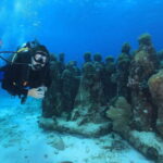 Cancun: Scuba Diving for Certified Divers, 3 options to dive - What to Expect on the Tour