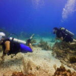 Cancun: Shipwreck and Reef Dives - The Itinerary and What You’ll Experience